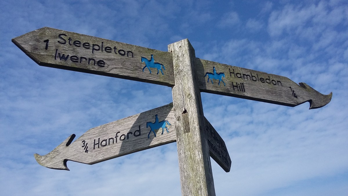 Contact – Stephen J. Dunning